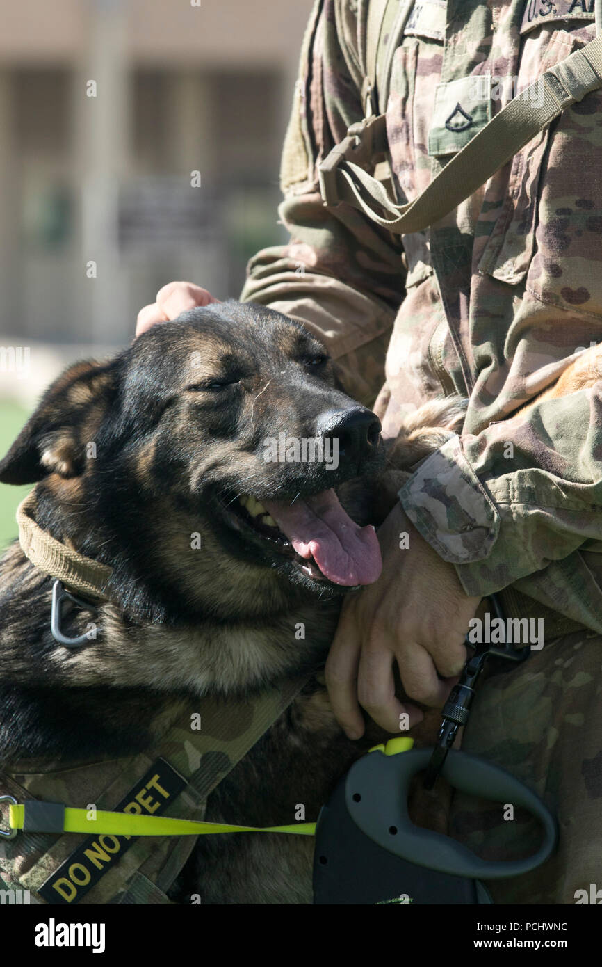 U.S. Army Pfc. Austin Ramos, a military working dog handler assigned to ...