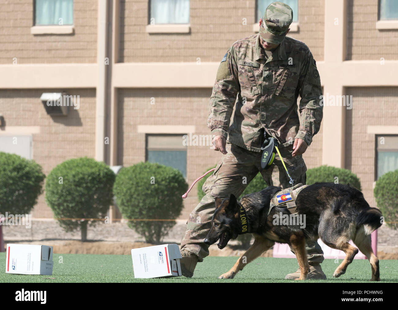U.S. Army Pfc. Austin Ramos, a military working dog handler assigned to ...