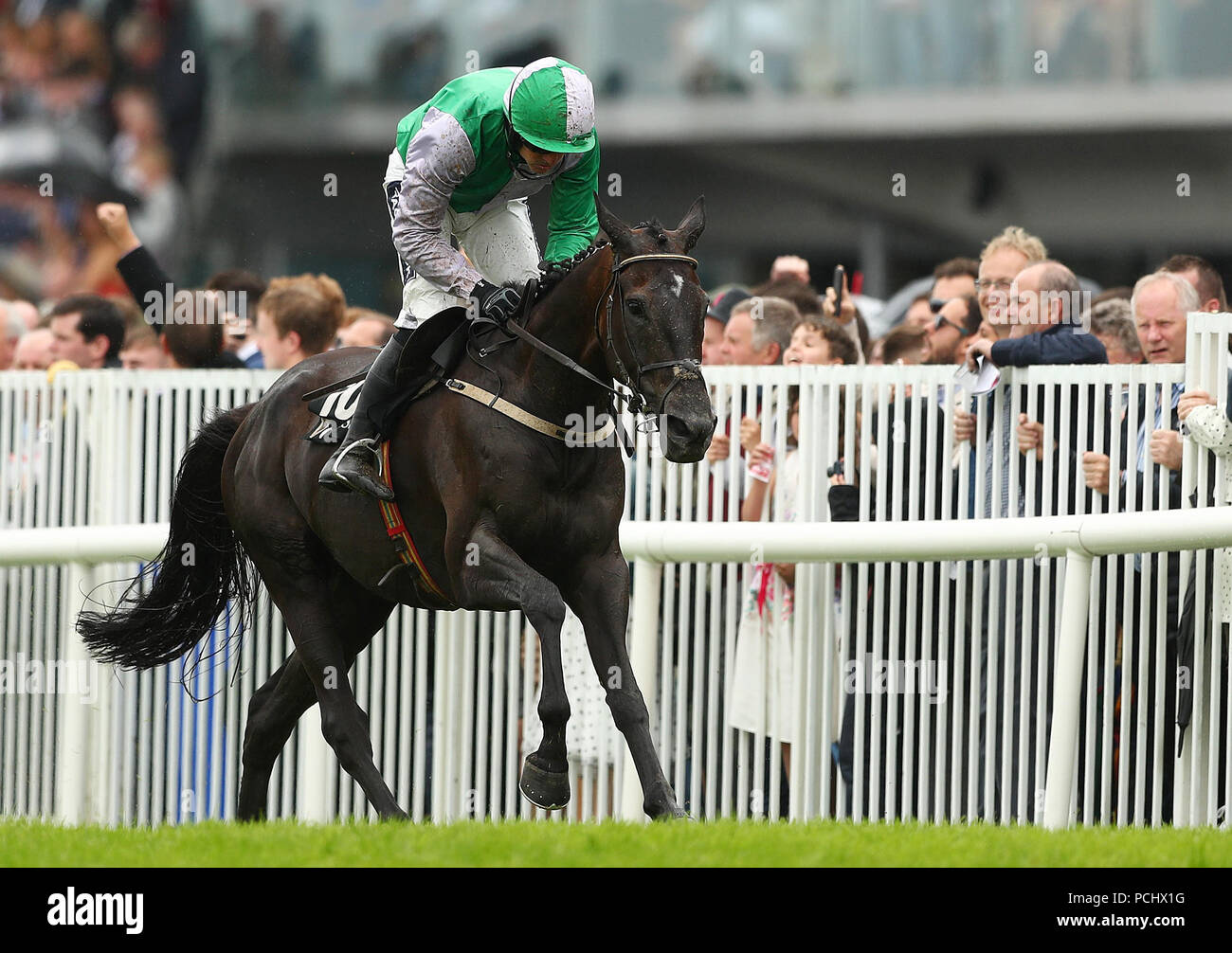 Winning guinness beginners steeplechase hi-res stock photography and ...