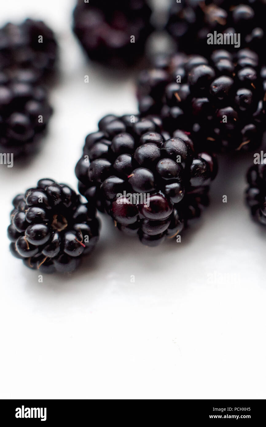 Lots of blackberries on a white background Stock Photo - Alamy