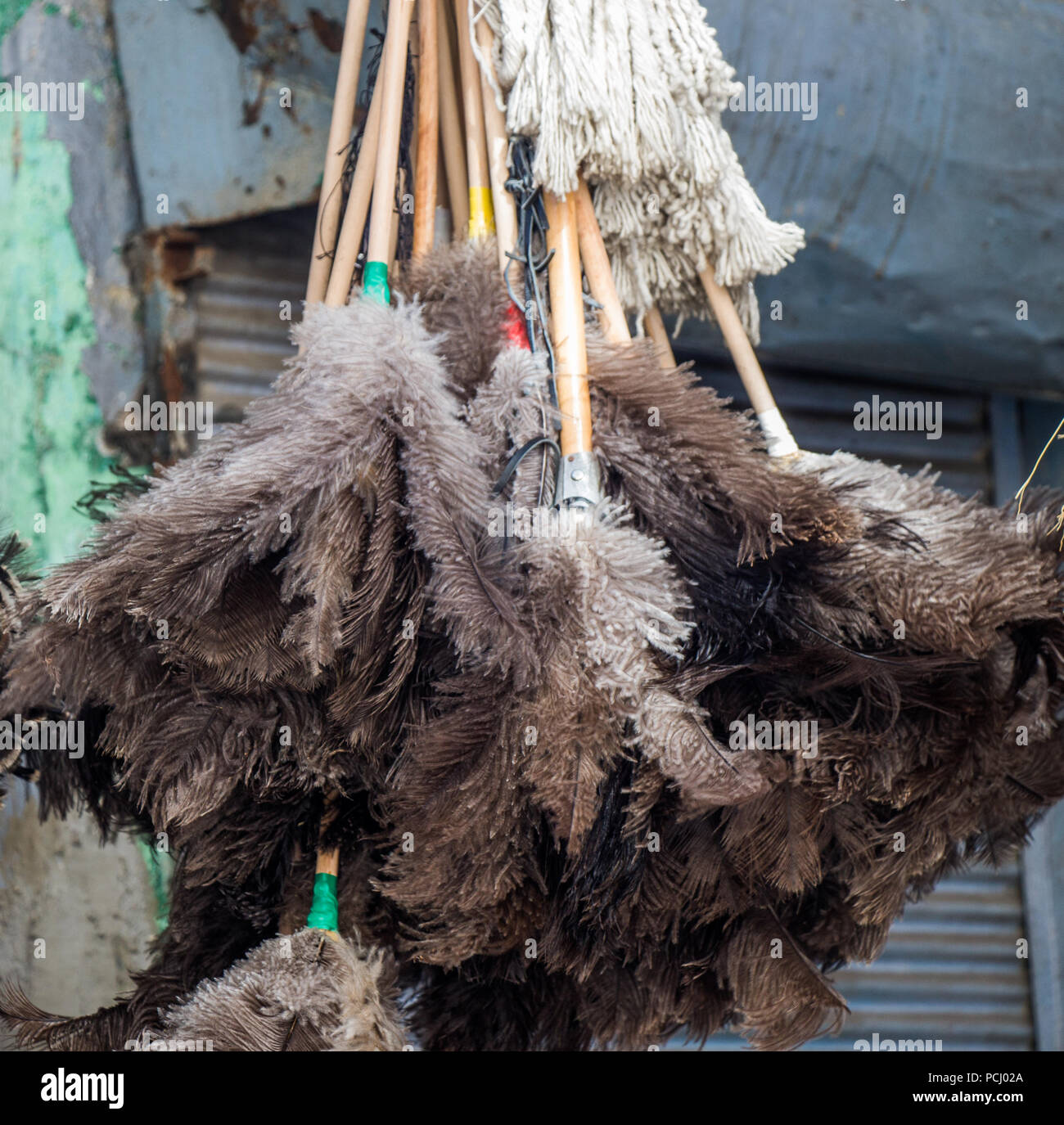 Beautiful bird feathers make a broom Stock Photo - Alamy