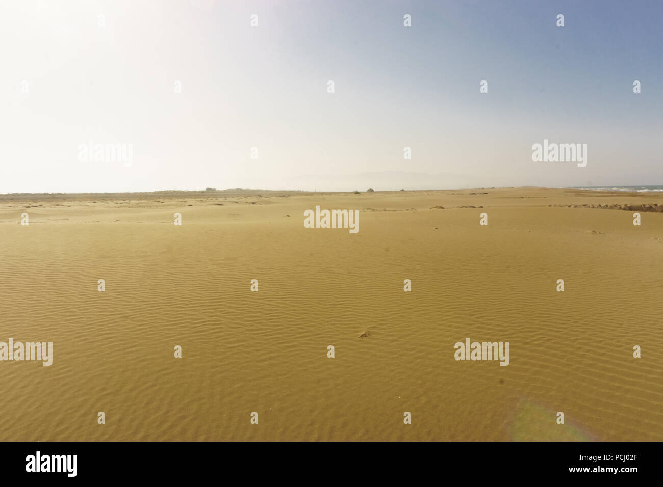 sandbanks on the beach Stock Photo - Alamy