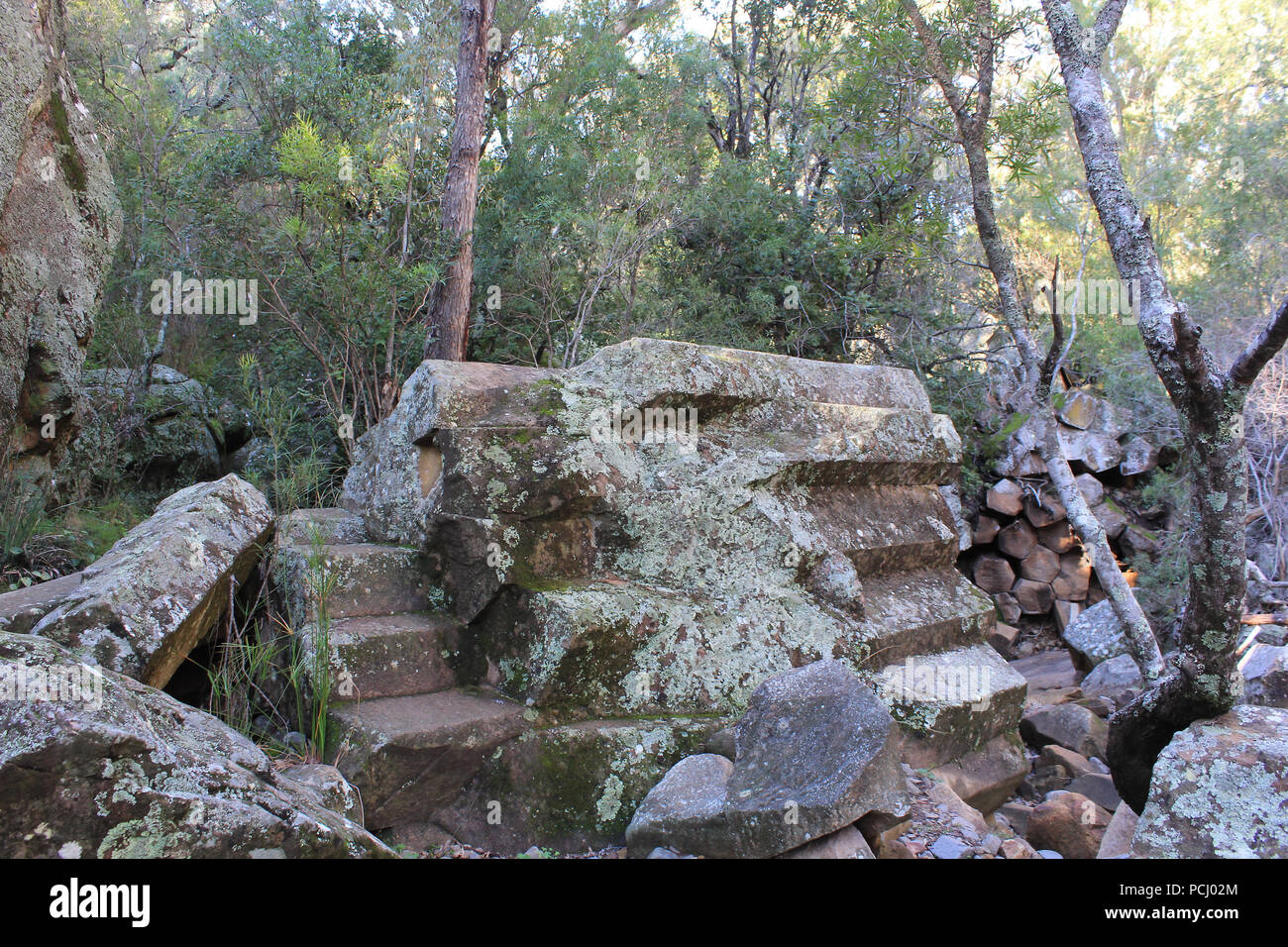 The ancient volcanic rock has formed a rock formation known as 'organ ...