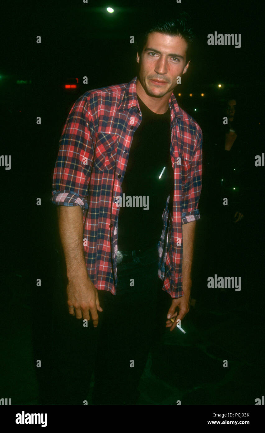 WESTWOOD, CA - MAY 11: Actor Billy Wirth attends Warner Bros. Pictures ...