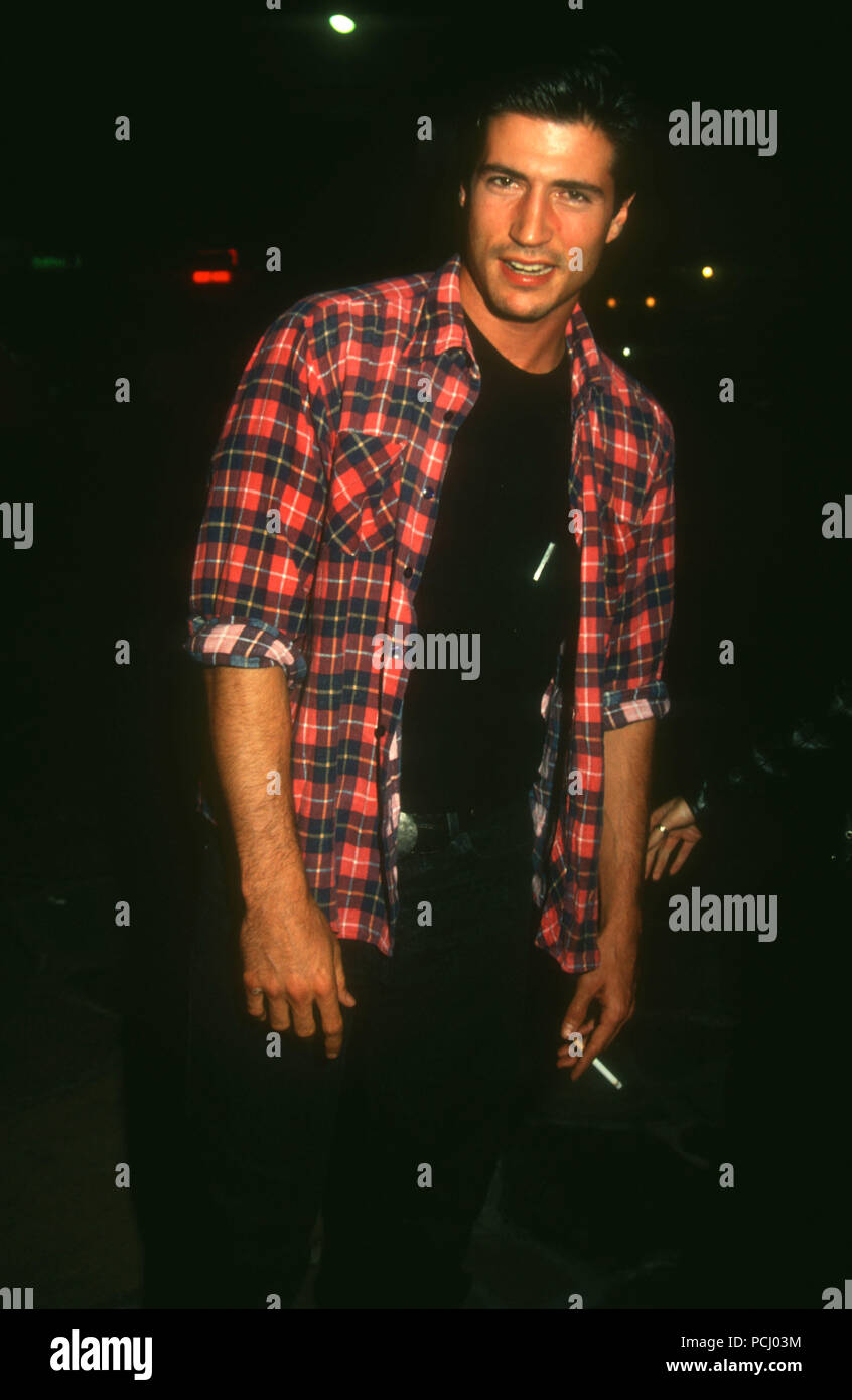 WESTWOOD, CA - MAY 11: Actor Billy Wirth attends Warner Bros. Pictures ...