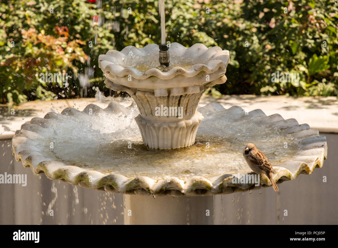 Turkish Ottoman style antique fountain in view Stock Photo - Alamy
