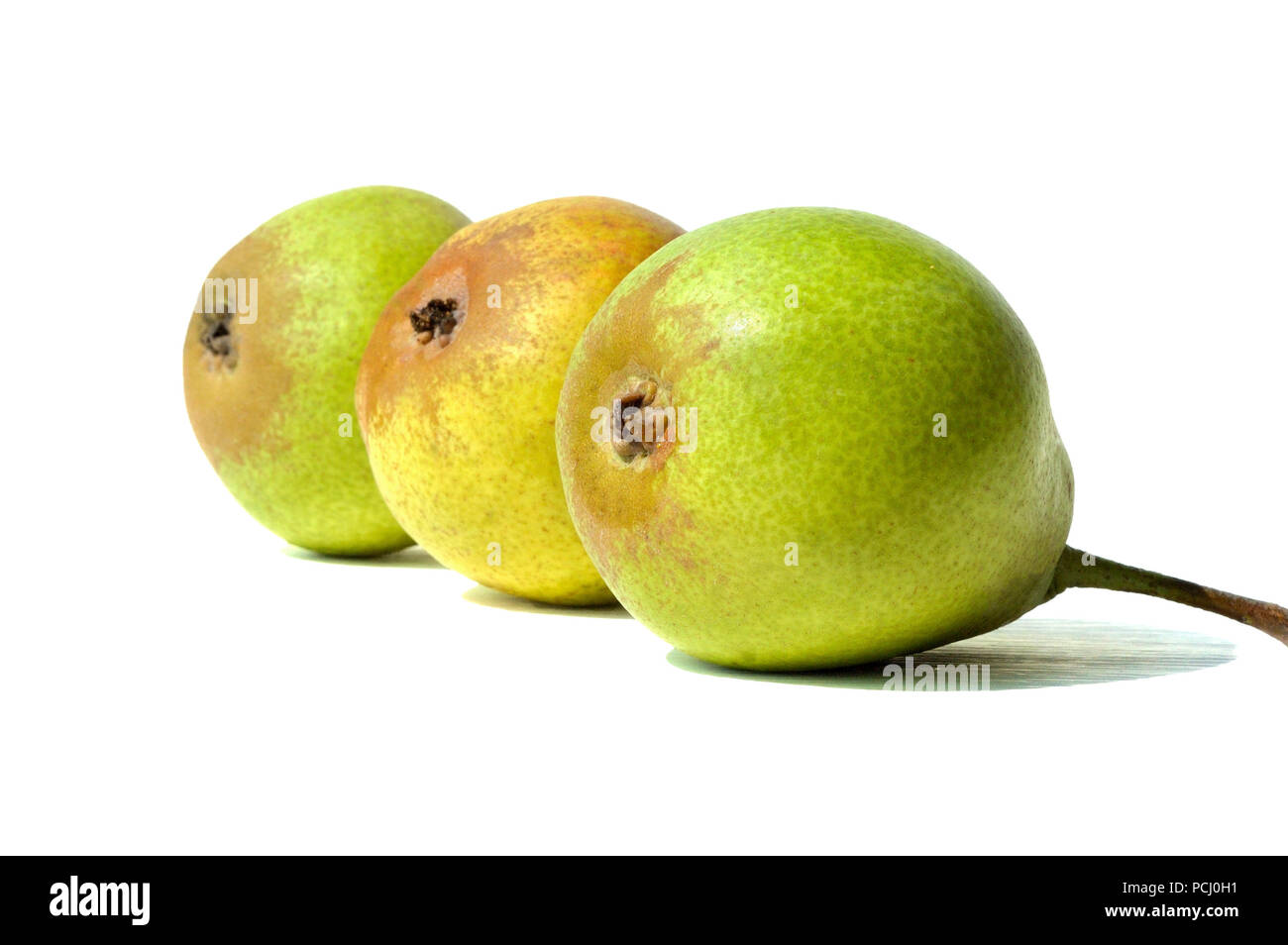 Pear wafer hi-res stock photography and images - Alamy