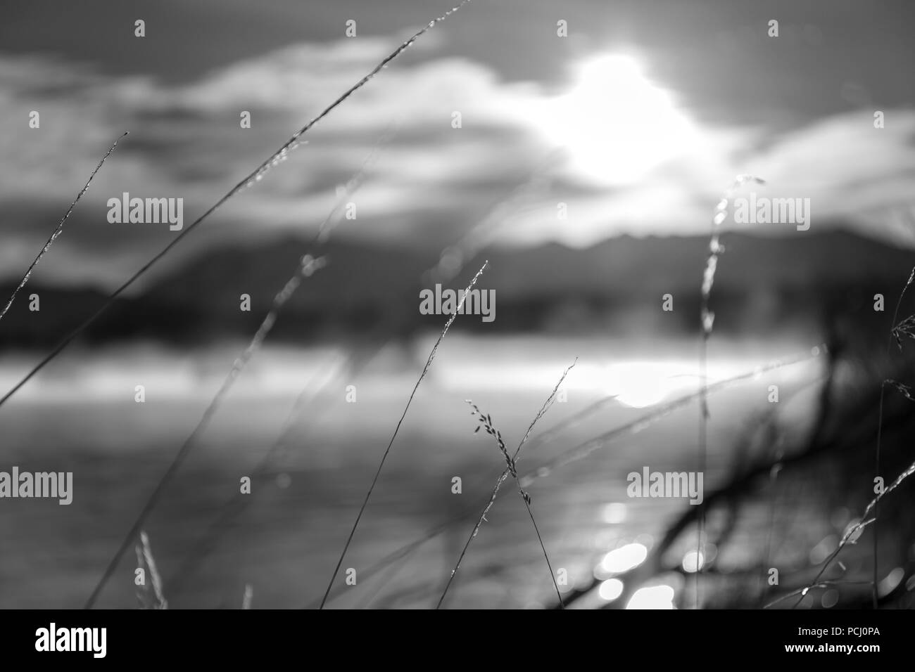 Autumn in Lake Pukaki , south Island, New Zealand landscape, with B&W ...