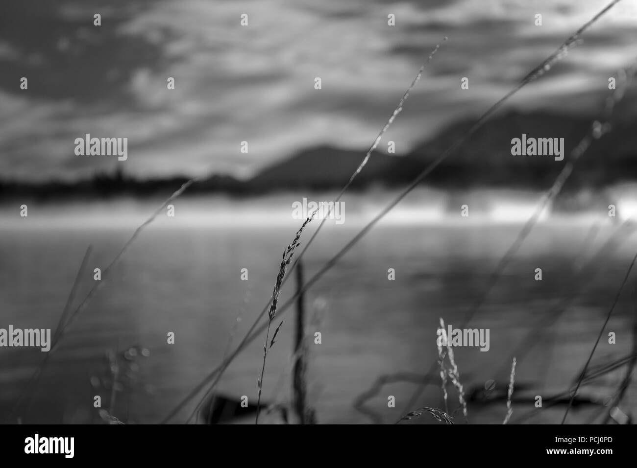 Autumn in Lake Pukaki , south Island, New Zealand landscape, with B&W ...