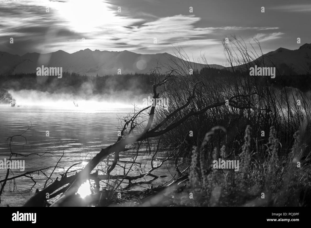 Autumn in Lake Pukaki , south Island, New Zealand landscape, with B&W ...