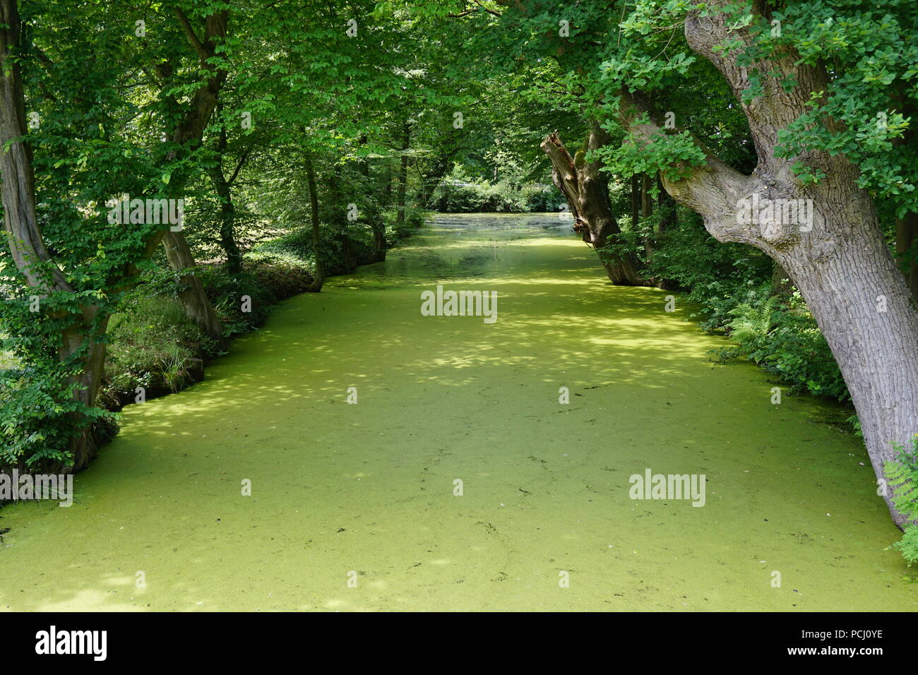 Old moat hi-res stock photography and images - Alamy