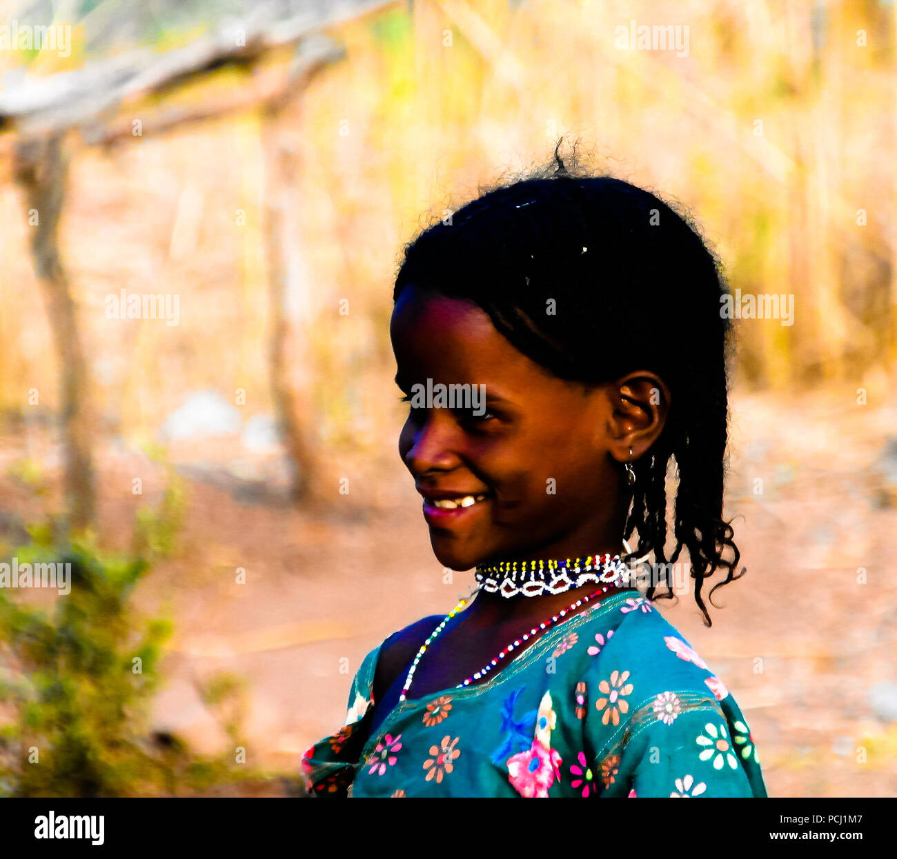 Portrait of tattooed Mbororo aka Wodaabe tribe woman - 01-03-2014 Poli ...