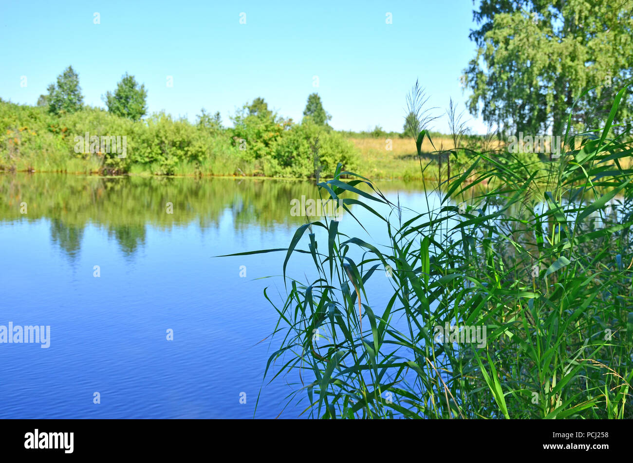 Beautiful landscape the blue lake among the wood in Russia Siberia ...