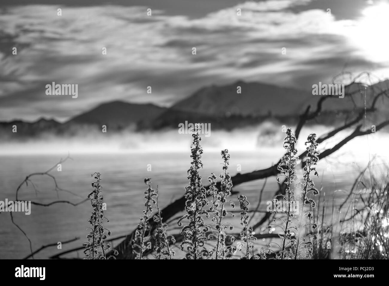 Autumn in Lake Pukaki , south Island, New Zealand landscape, with B&W ...