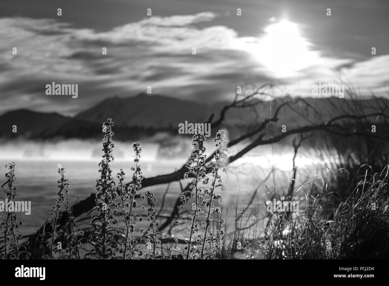 Autumn in Lake Pukaki , south Island, New Zealand landscape, with B&W ...
