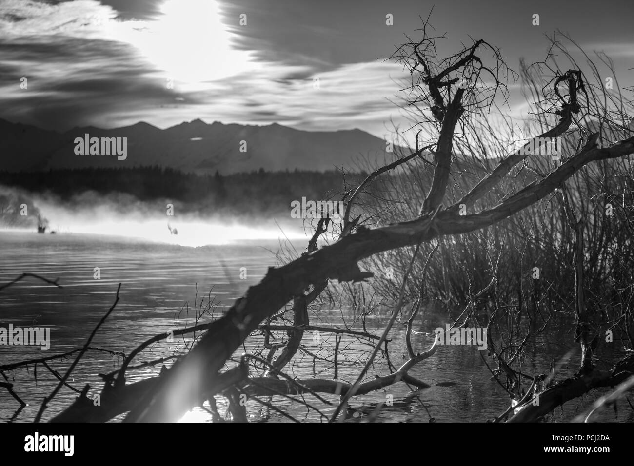 Autumn in Lake Pukaki , south Island, New Zealand landscape, with B&W ...