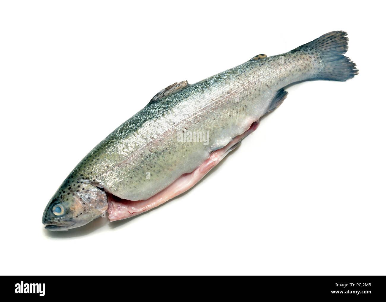 eviscerated trout fish isolated on white Stock Photo - Alamy