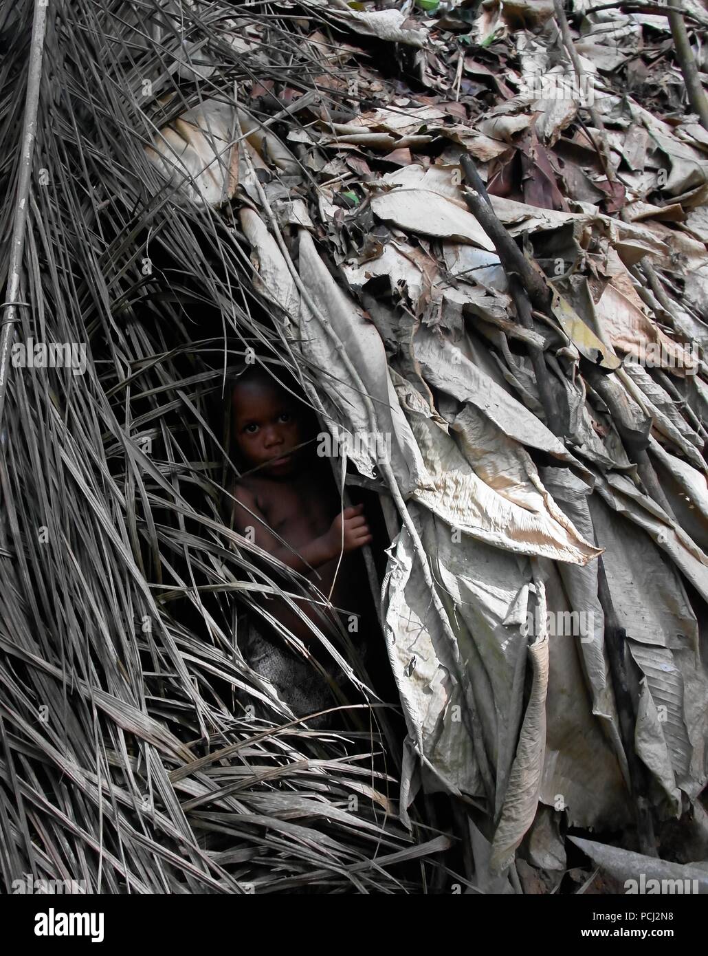 Baka Tribe High Resolution Stock Photography and Images - Alamy