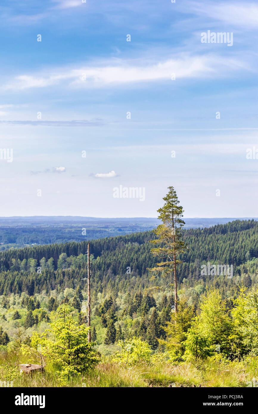 View of rolling forest landscape to the horizon Stock Photo - Alamy