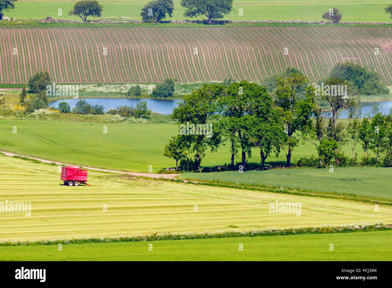 Landscape view with field trees and a lake Stock Photo - Alamy
