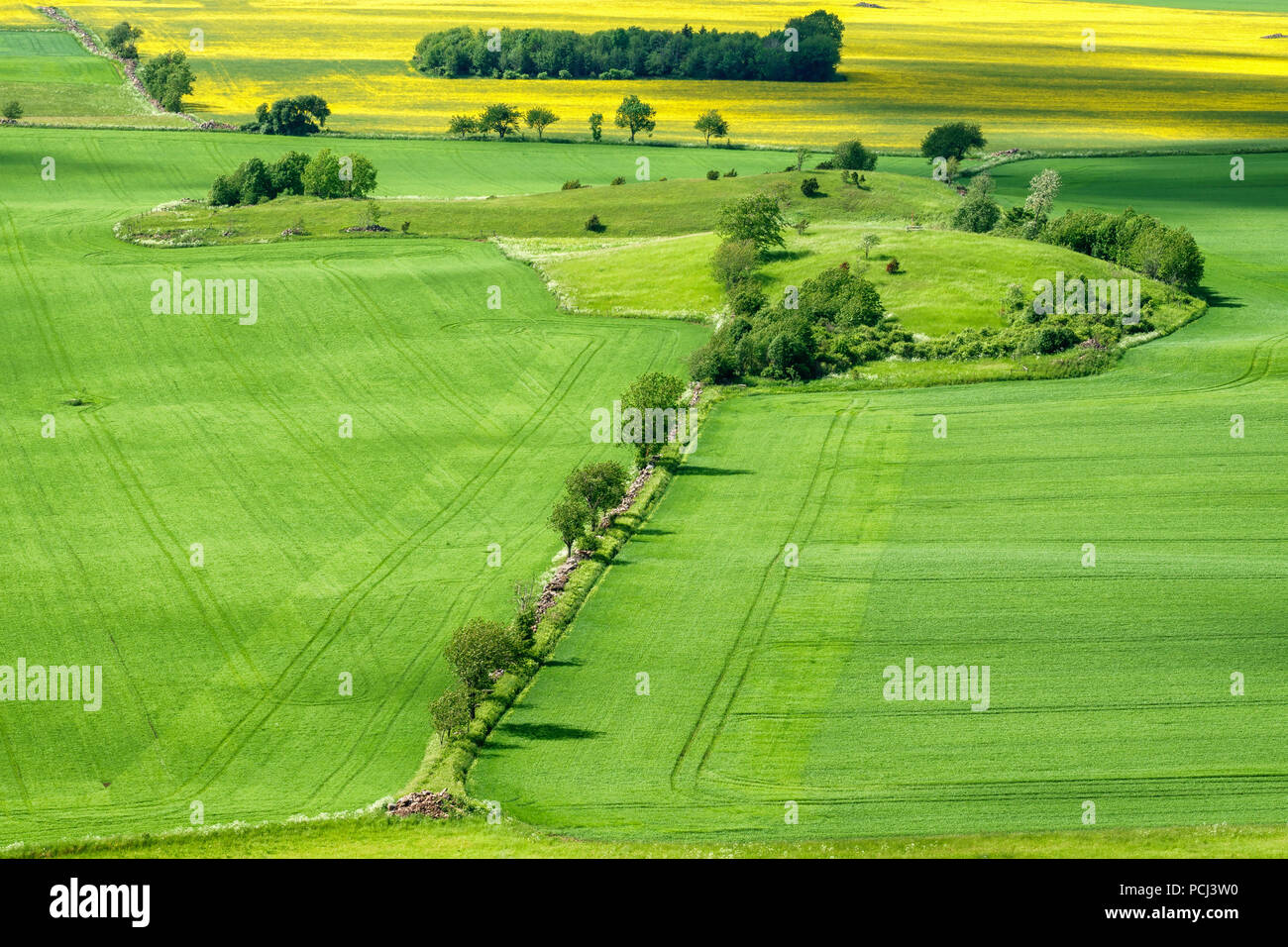 Beautiful scene land trees hi-res stock photography and images - Alamy