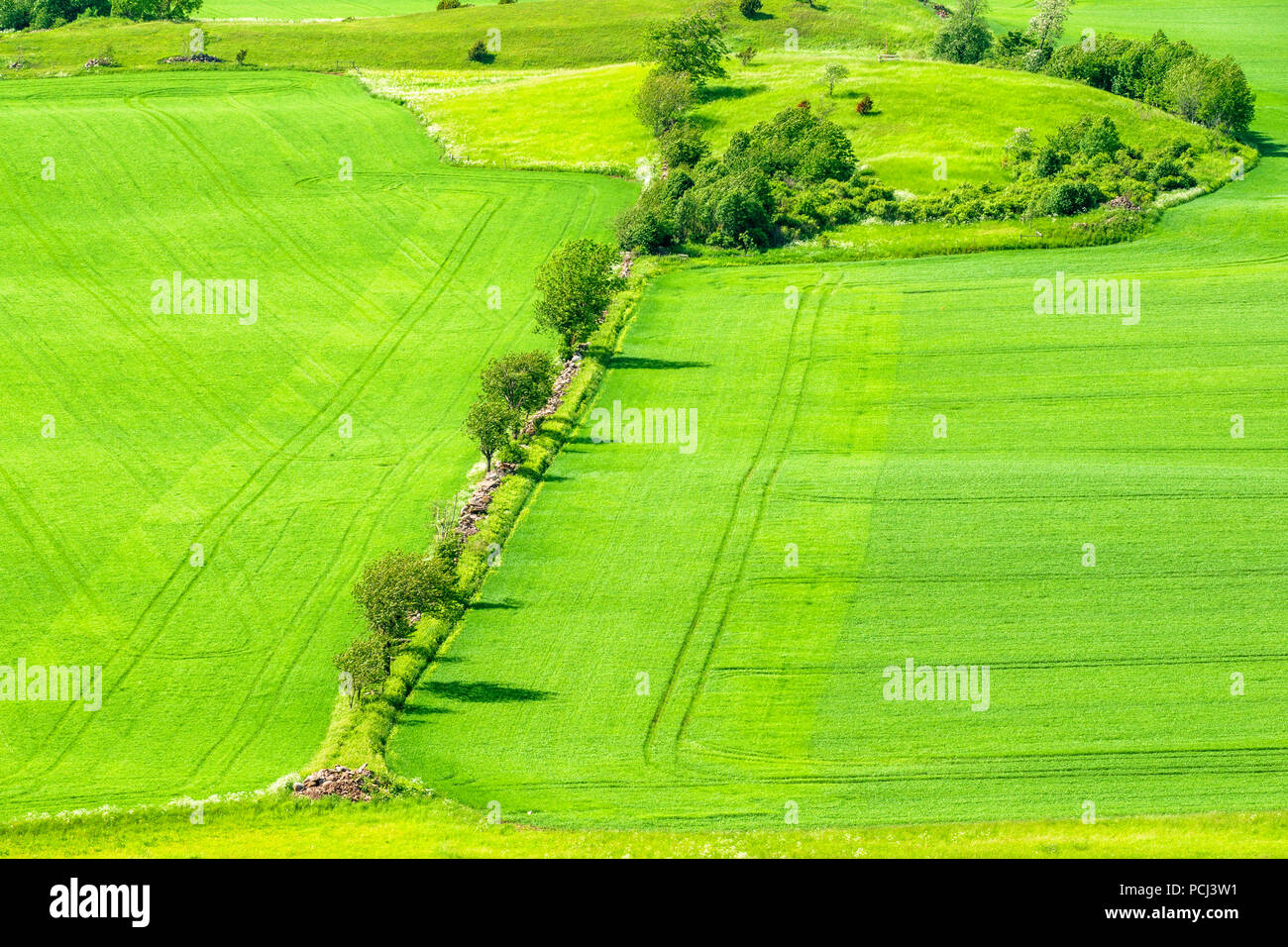 Trees and fields in a beautiful country landscape Stock Photo - Alamy