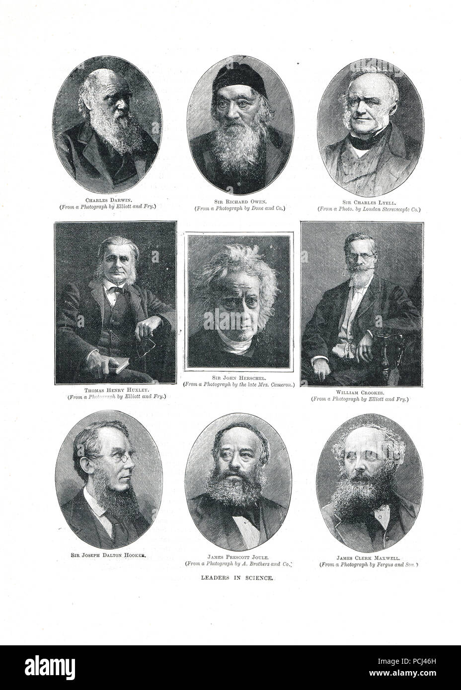 Leaders or losers Cut Out Stock Images & Pictures - Alamy