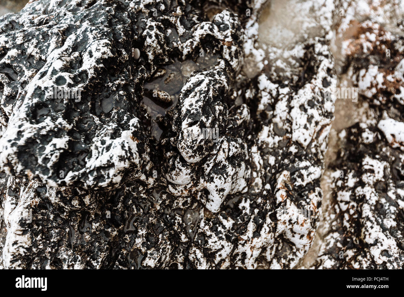 Natural background of stone texture. Marine stones Stock Photo - Alamy