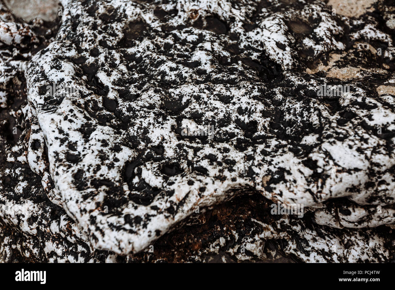 Natural background of stone texture. Marine stones Stock Photo - Alamy