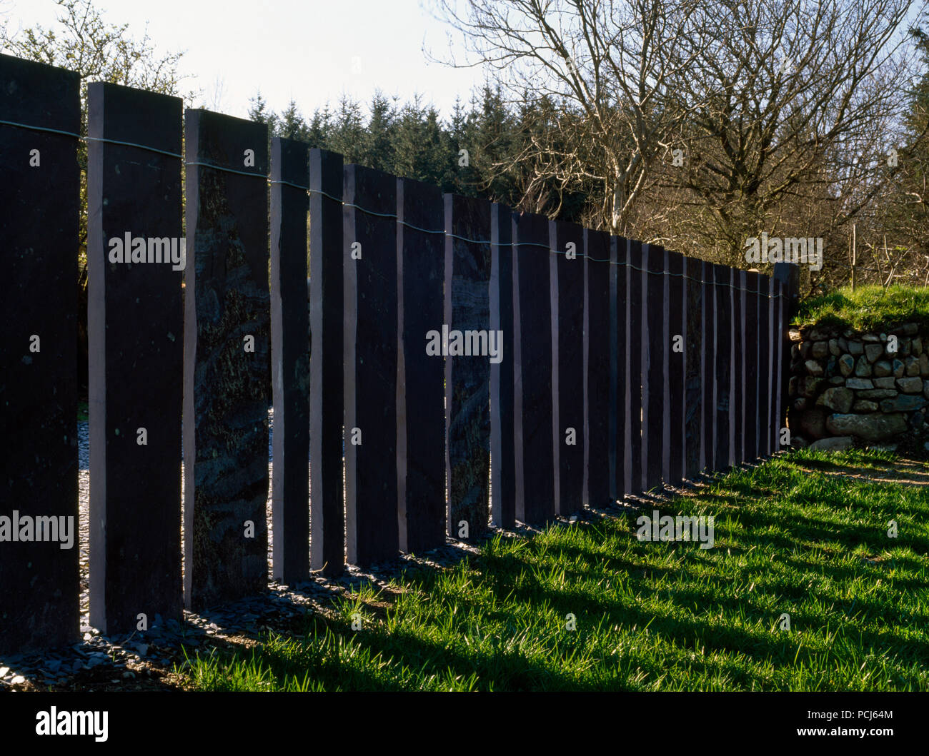 A modern slate fence of heather blue slabs from Penrhyn Quarry ...