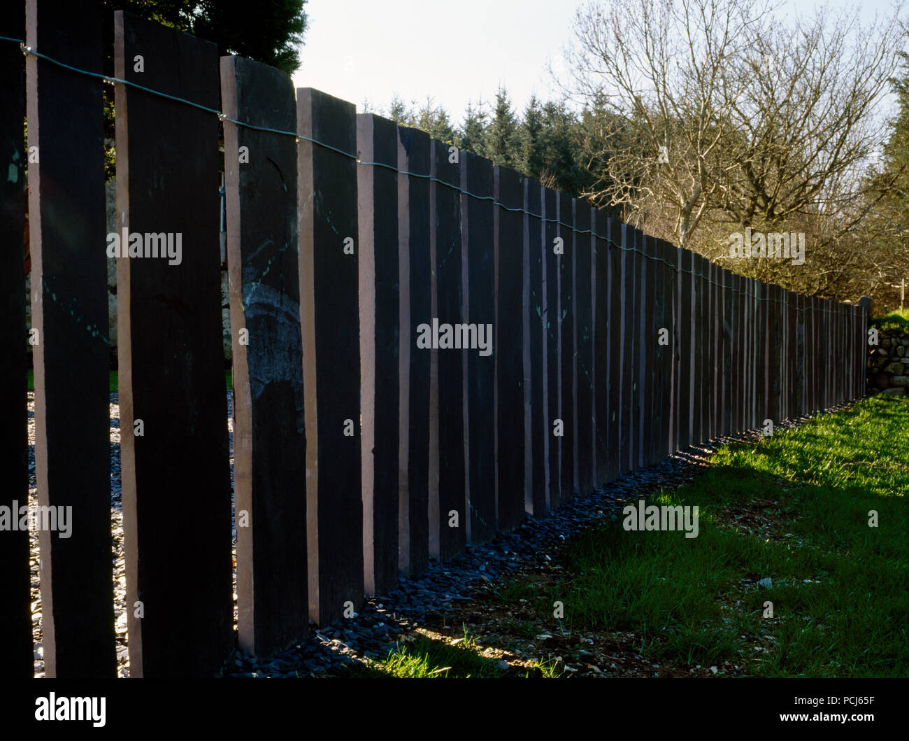 A modern slate fence of heather blue slabs from Penrhyn Quarry ...