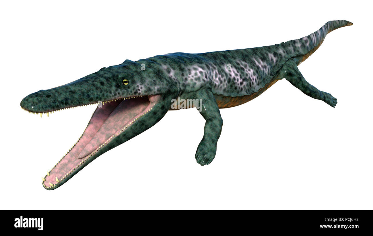 Labyrinthodontia hi-res stock photography and images - Alamy