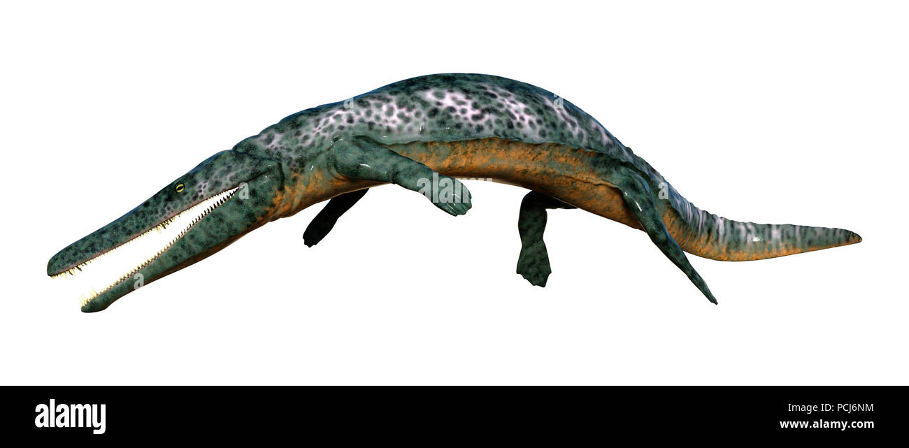 Archegosaurus hi-res stock photography and images - Alamy