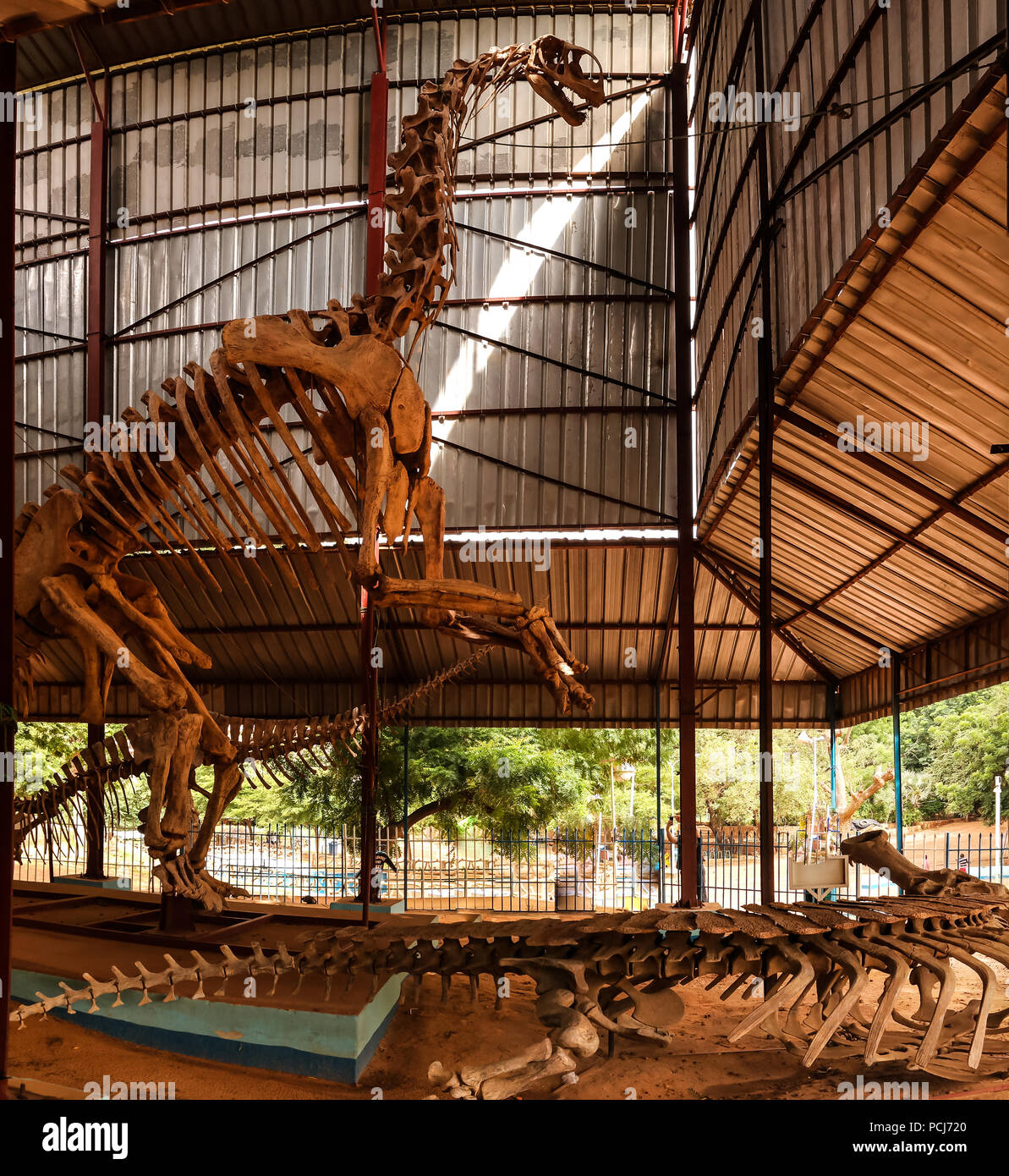 skeleton of Dinosaur Jobaria tiguidensis - 21-september-2017 Niamey ...