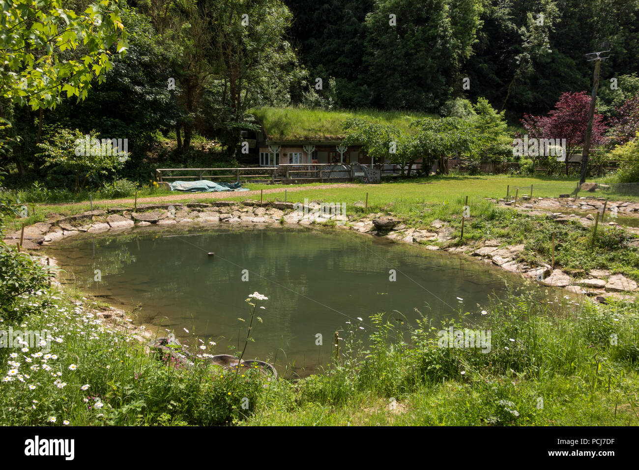 Biodynamic fishery, part of Rusking Mill College which is run by Ruskin ...