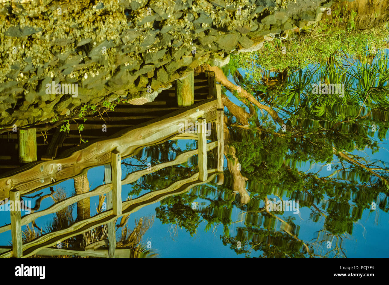 Image of a wood jetty and tree reflected in water Stock Photo - Alamy