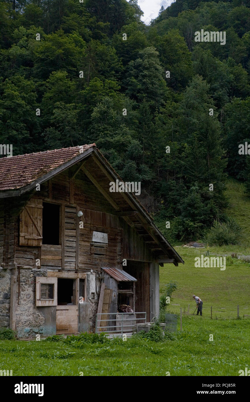 Old wooden barn on the floor of the spectacular upper Lauterbrunnen ...