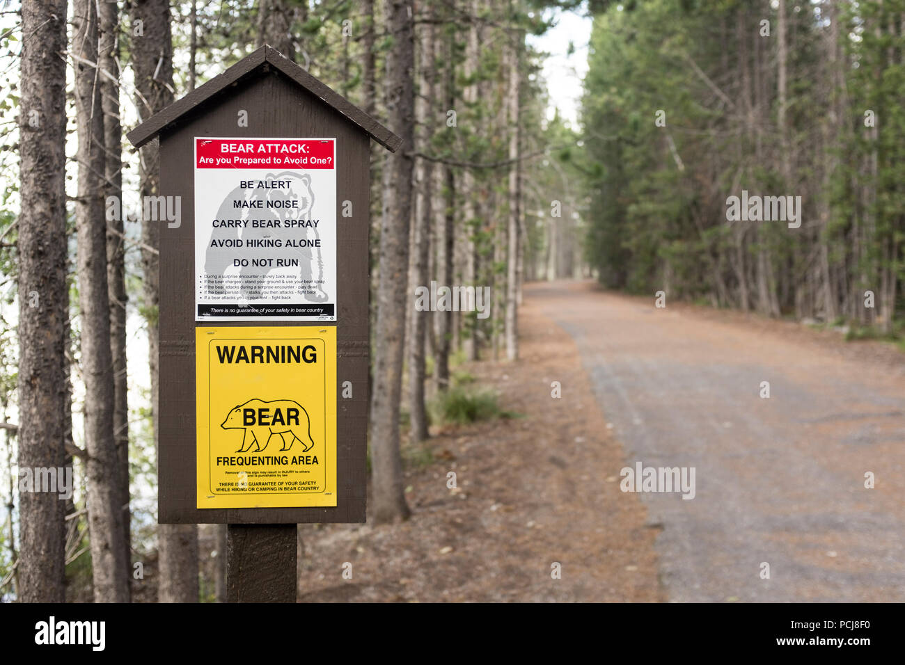 Signs warning hikers of possible bear sightings on a trail at Colter ...