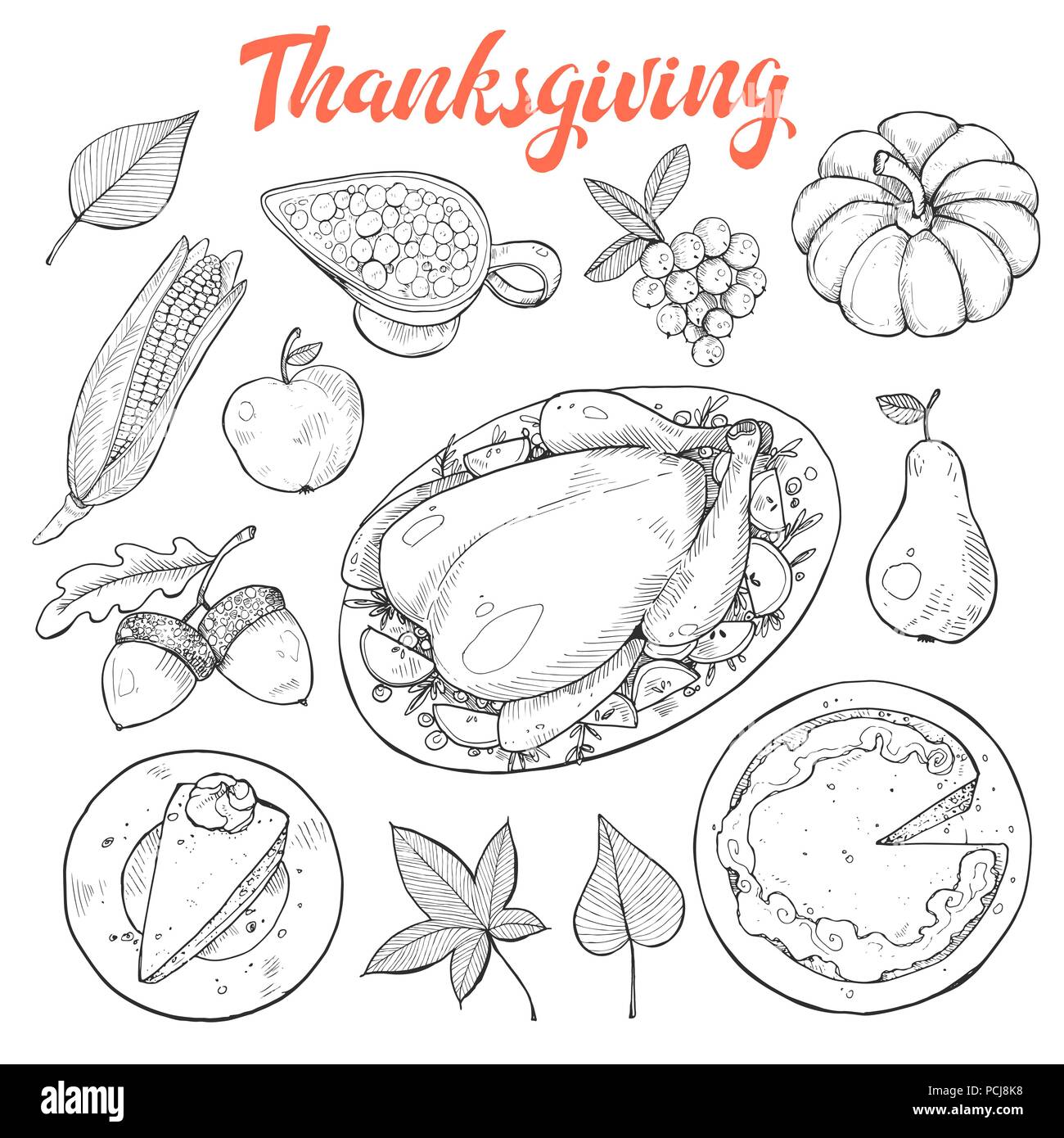 Hand drawn thanksgiving traditional objects isolated on white ...