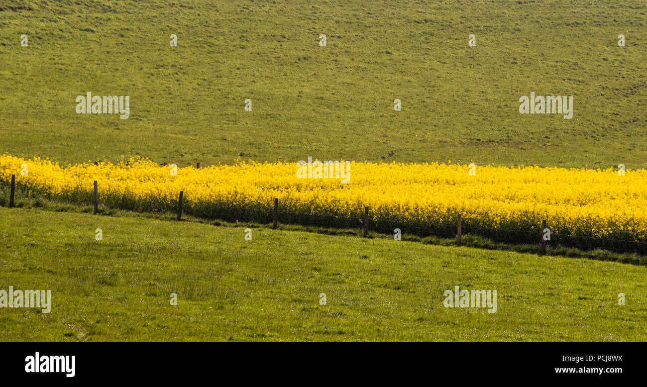 rural views on the way from Cullen to Edinburgh Stock Photo - Alamy