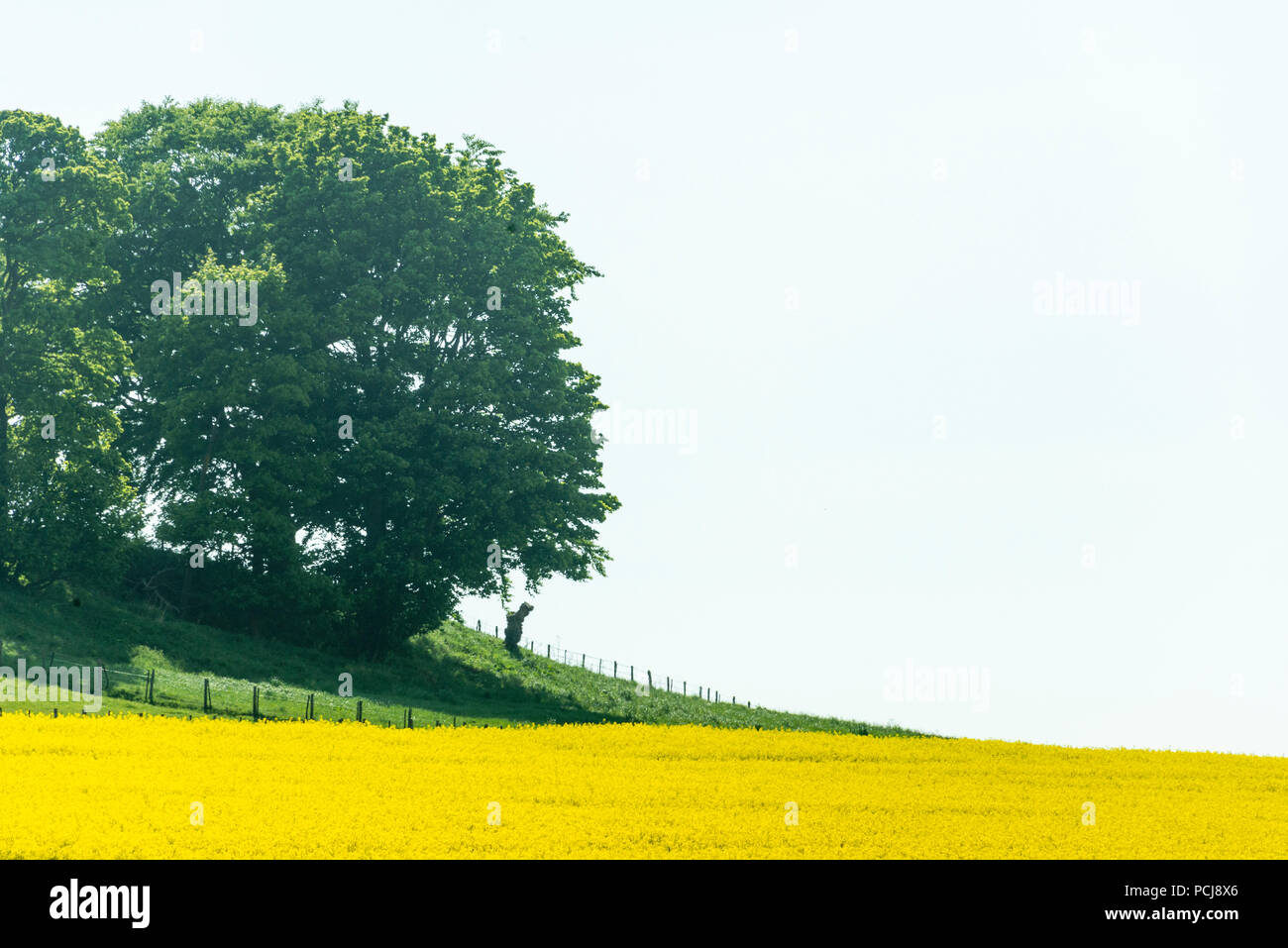 rural views on the way from Cullen to Edinburgh Stock Photo - Alamy
