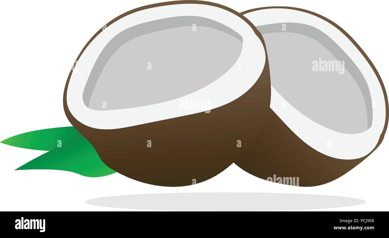 Coconut seed tree Stock Vector Images - Alamy