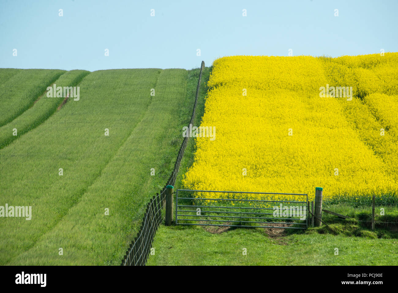 rural views on the way from Cullen to Edinburgh Stock Photo - Alamy