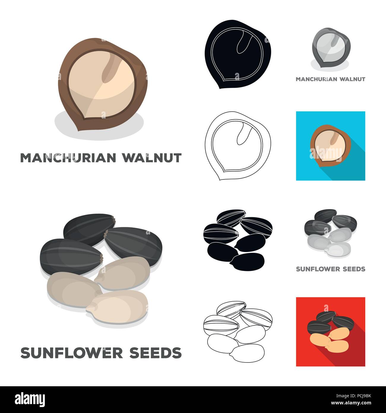 Different kinds of nuts cartoon,black,flat,monochrome,outline icons in ...