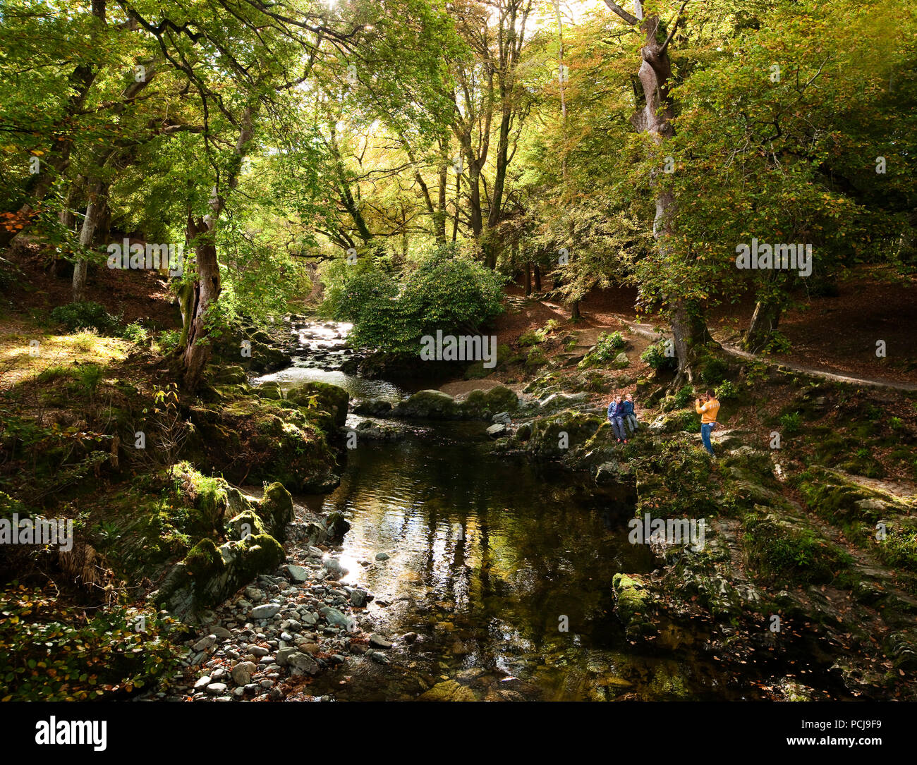 Tullymore Forest, Newcastle, County Down, Northern Ireland Stock Photo ...