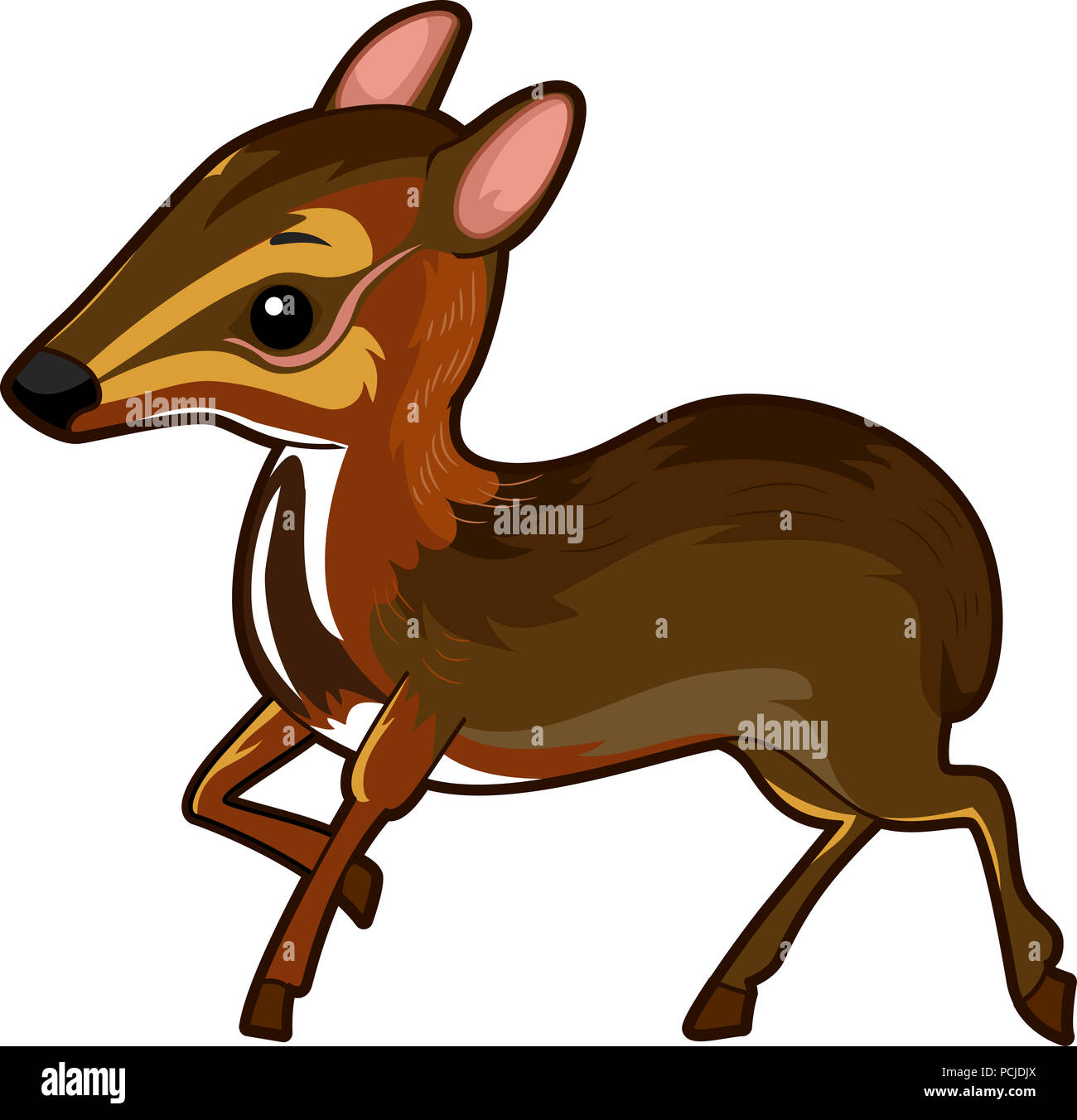 Illustration of a Mouse Deer Against White Background Stock Photo - Alamy