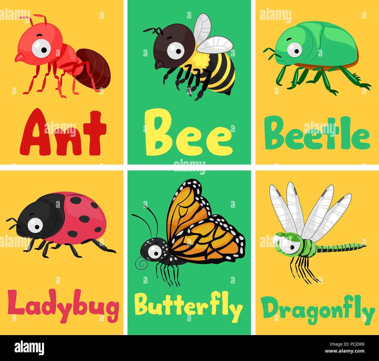 Illustration of Insects Flash Cards from Ant, Bee, Beetle, Ladybug ...
