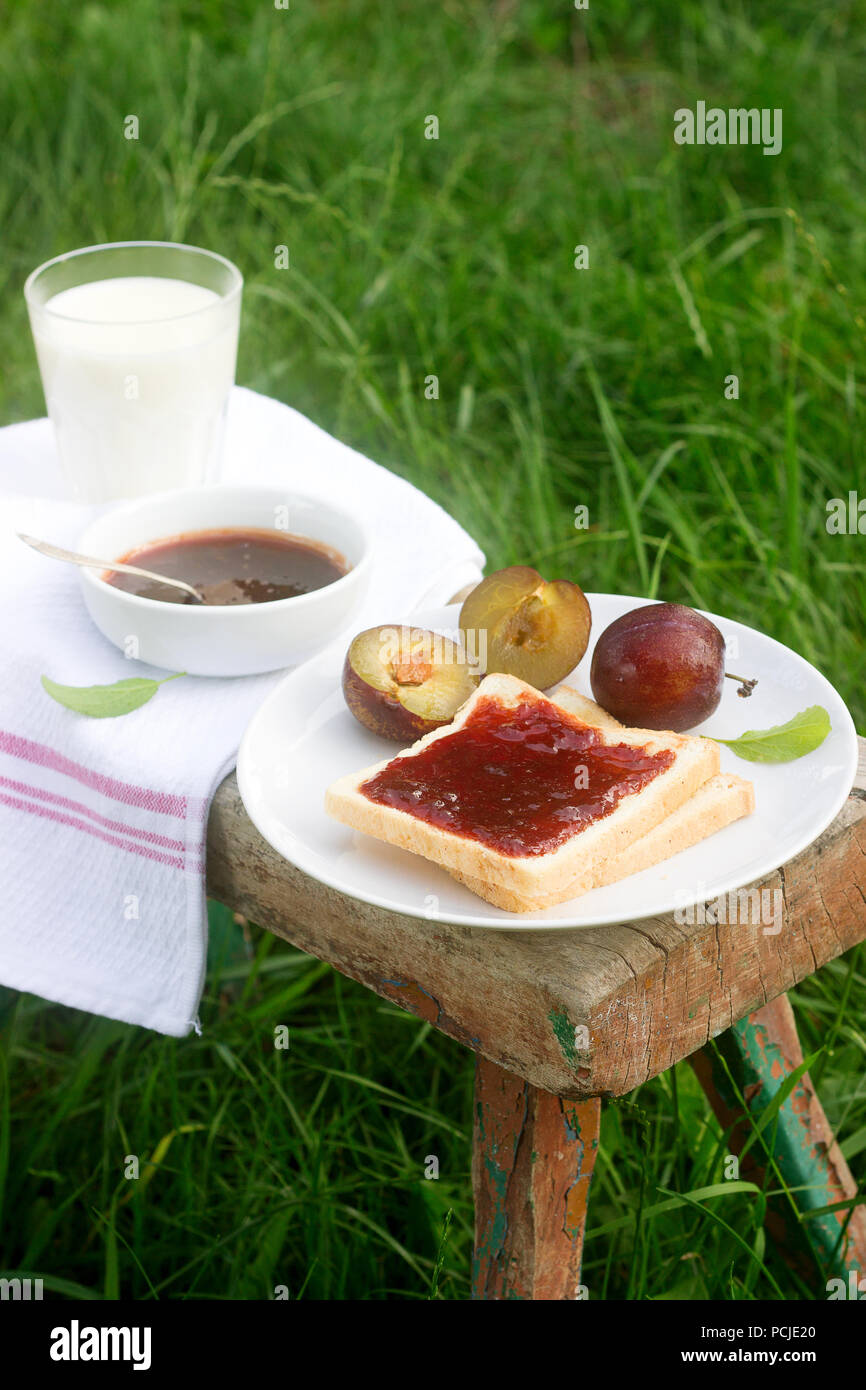 Toast with plum jam and milk and fresh plums on a green lawn background ...