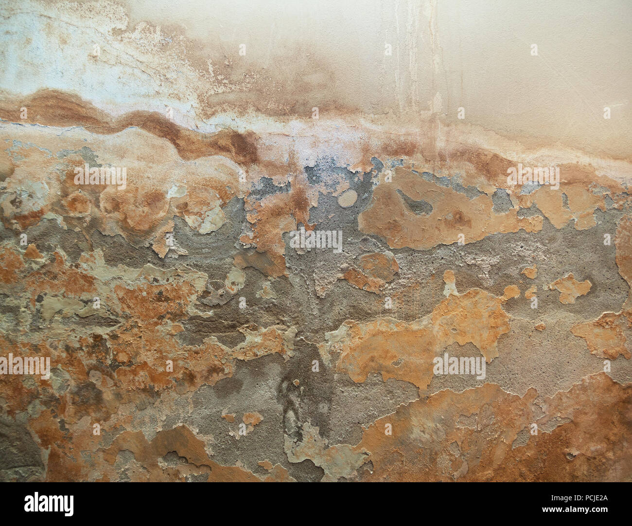 Building wall infected with fungus Stock Photo - Alamy