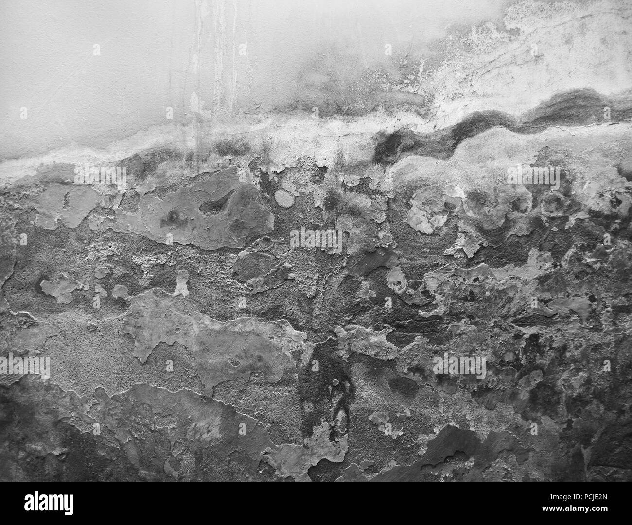 Building wall infected with fungus Stock Photo - Alamy